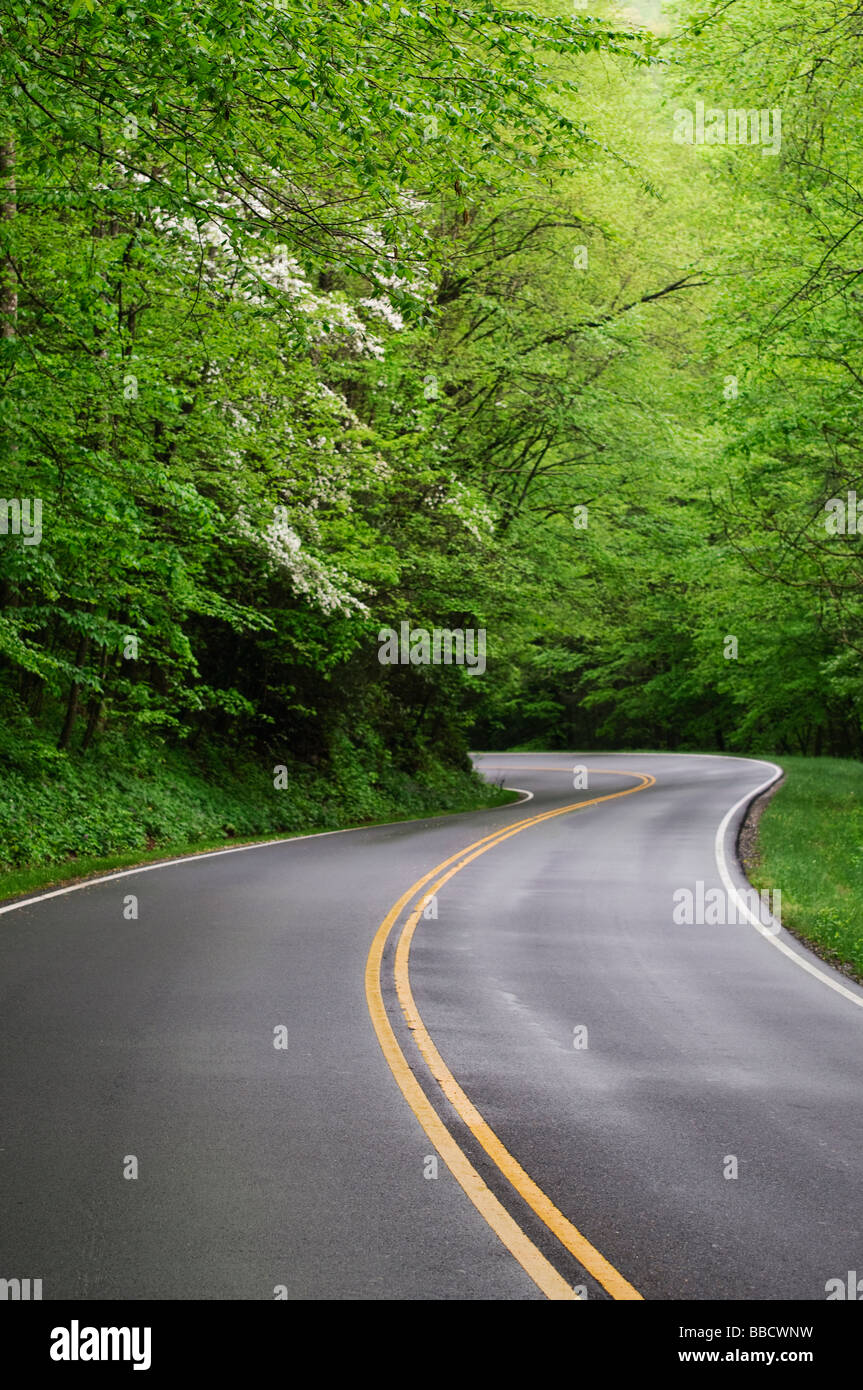 clean winding road stretching off into distance Stock Photo - Alamy