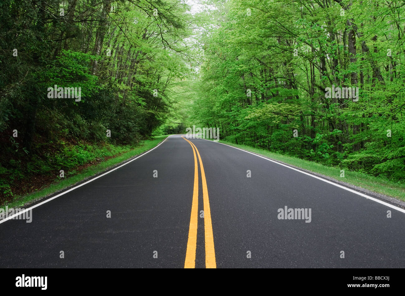 Two way stretch hi-res stock photography and images - Alamy