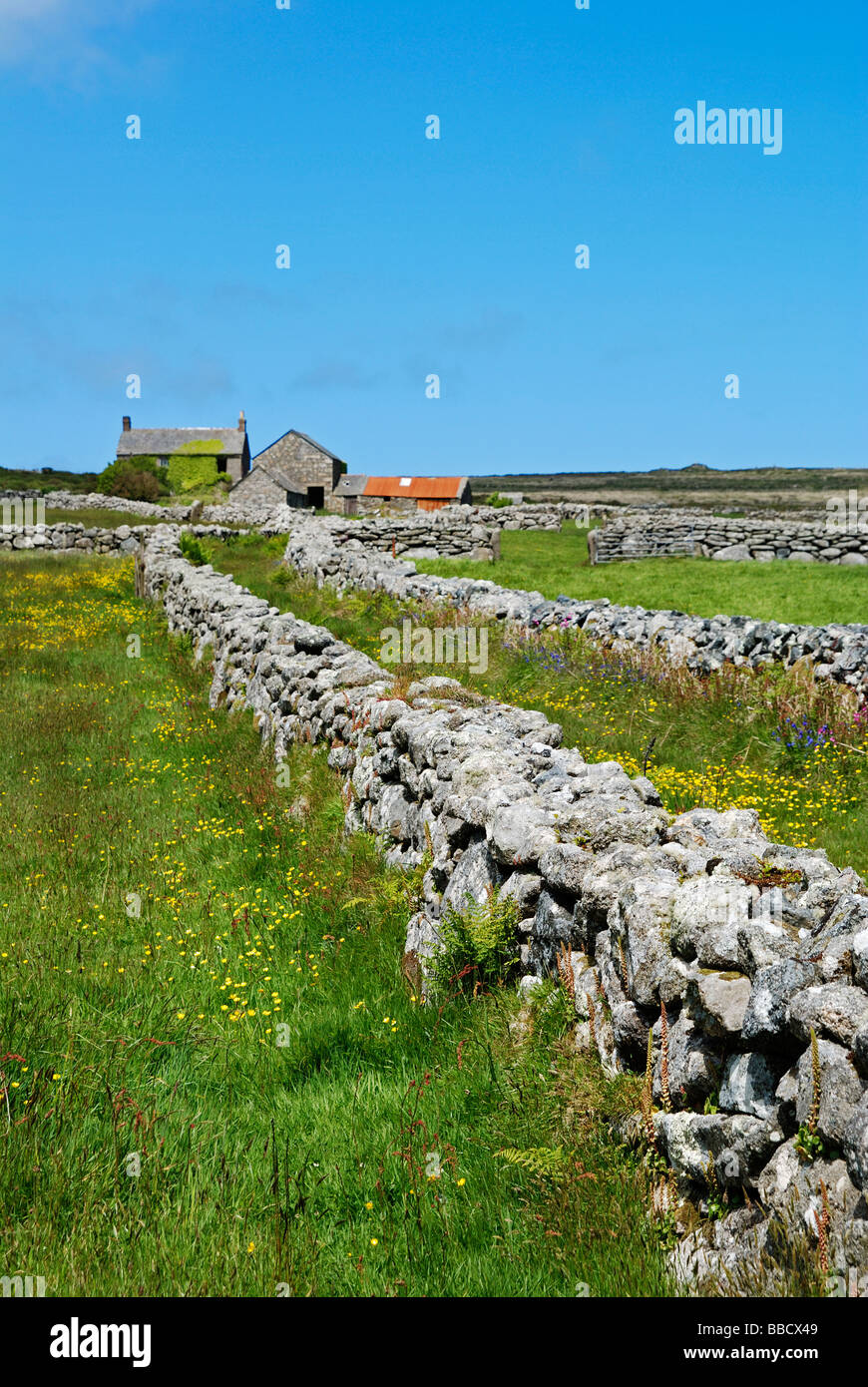 the rugged landscape of rural west cornwall,england,uk Stock Photo - Alamy