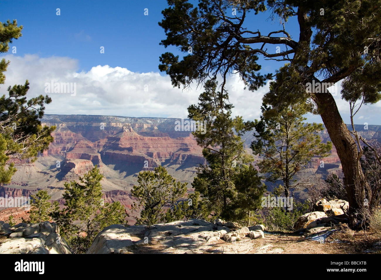 South Rim view of the Grand Canyon Arizona USA Stock Photo - Alamy