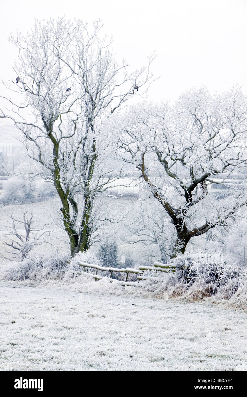 Pastures fence hi-res stock photography and images - Alamy