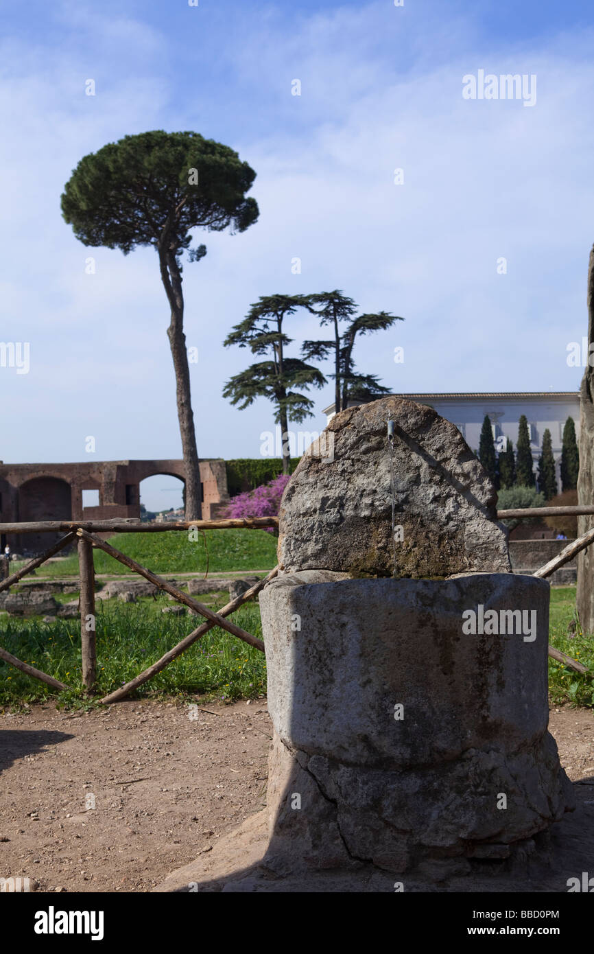 Imperial forum domus hi-res stock photography and images - Alamy