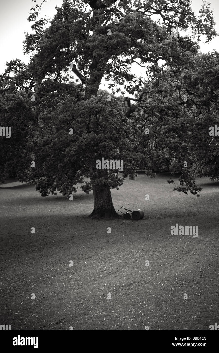 Cockington Court, Torquay Stock Photo - Alamy