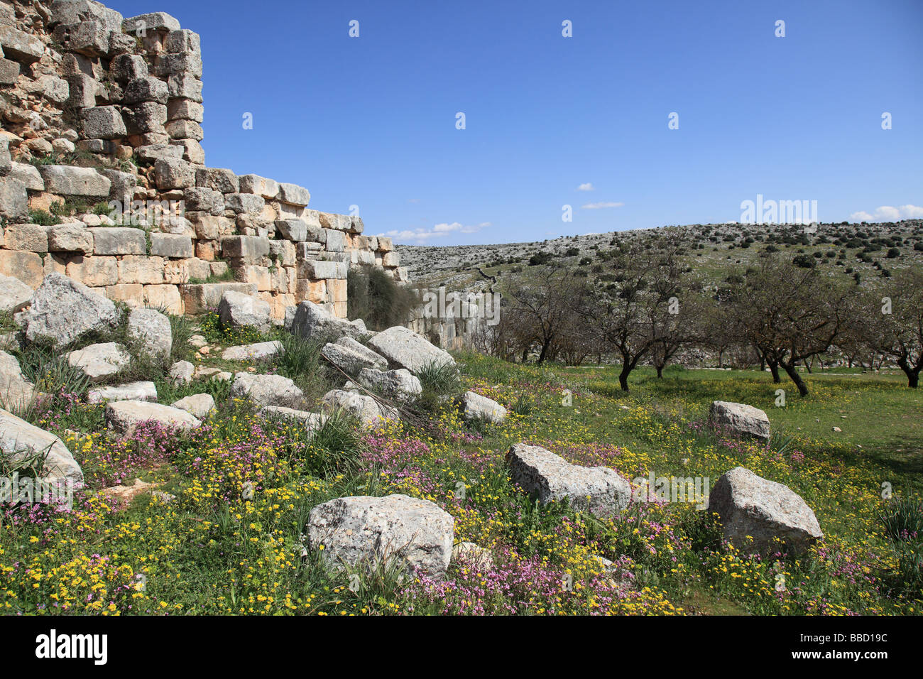 Aleppo Syria Syrian Middle East old ancient city Asia Citadel Aleppian ...