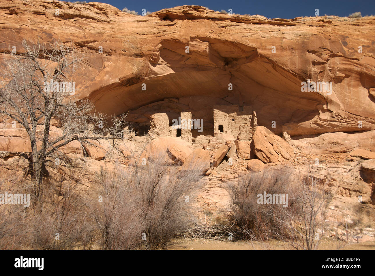 Bluff Utah House Stock Photos & Bluff Utah House Stock Images - Alamy