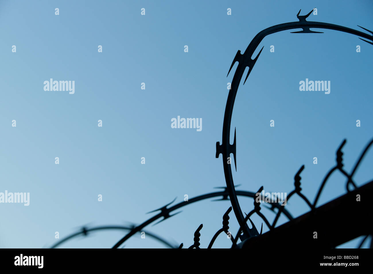 Abstract detail image of curled sharp barb wire on top of a fence ...