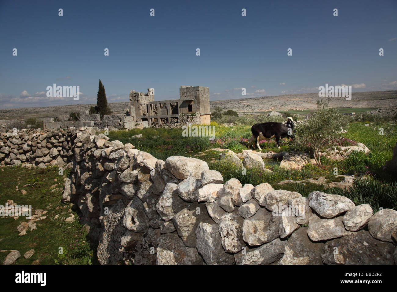 Old syrian house hi-res stock photography and images - Alamy