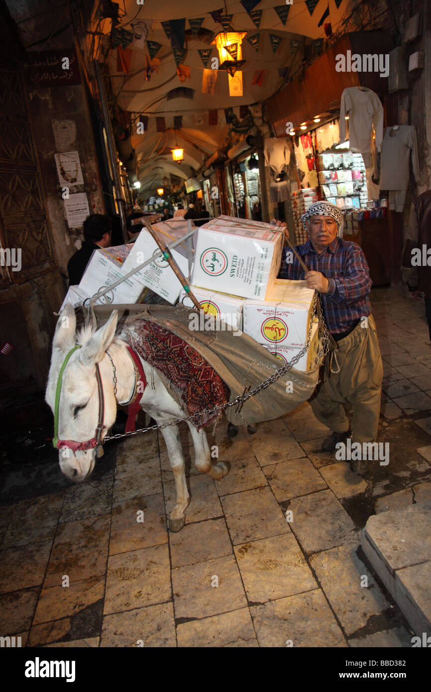 Aleppo Syria Syrian Middle East old ancient city Asia Citadel Aleppian ...
