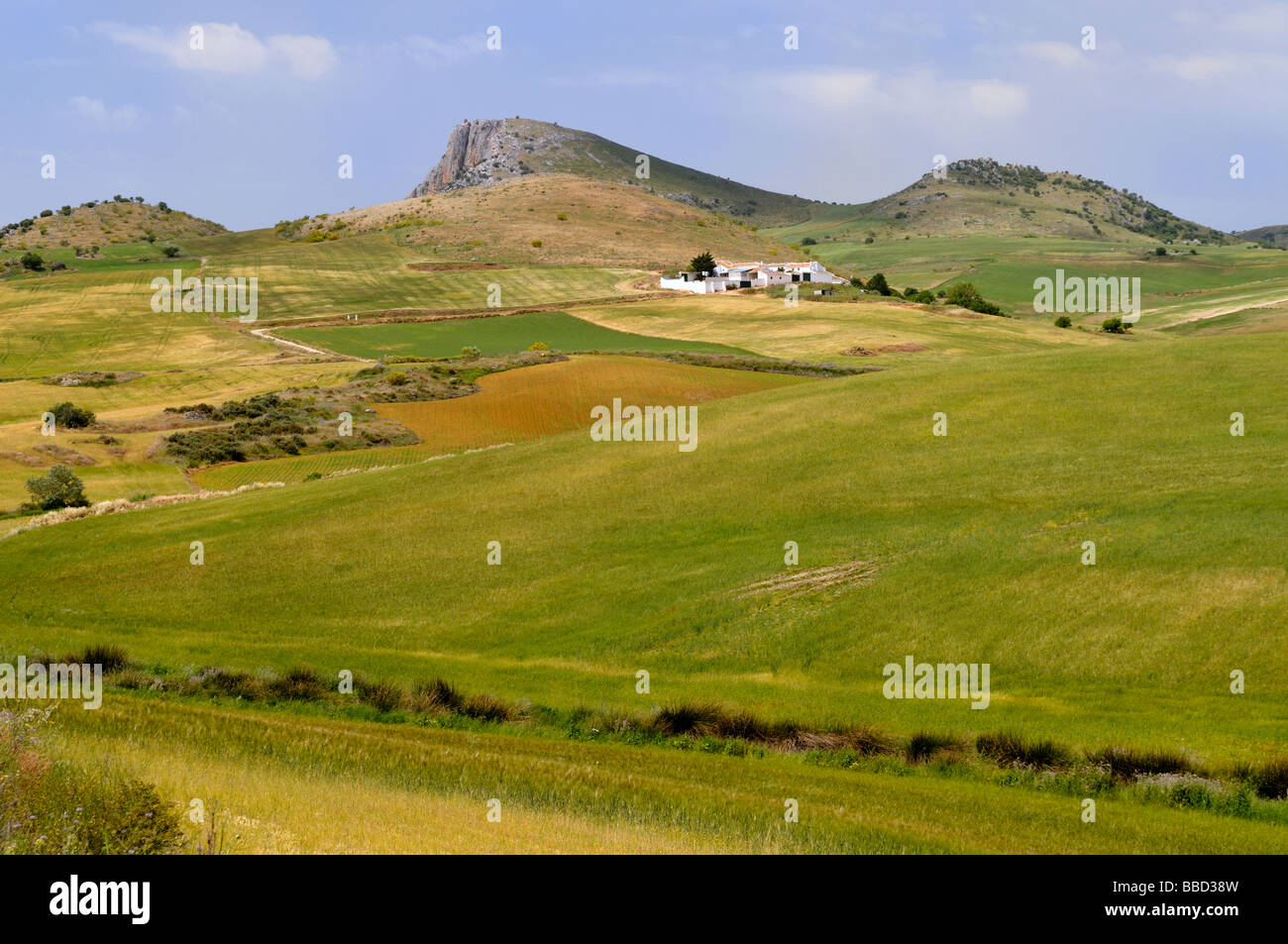 Countryside of Andalucia Spain near Teba Stock Photo - Alamy