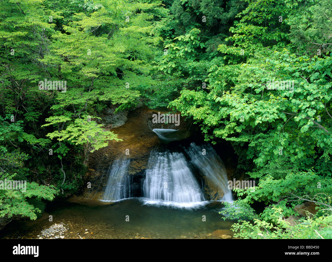 Sankyunotaki falls hi-res stock photography and images - Alamy