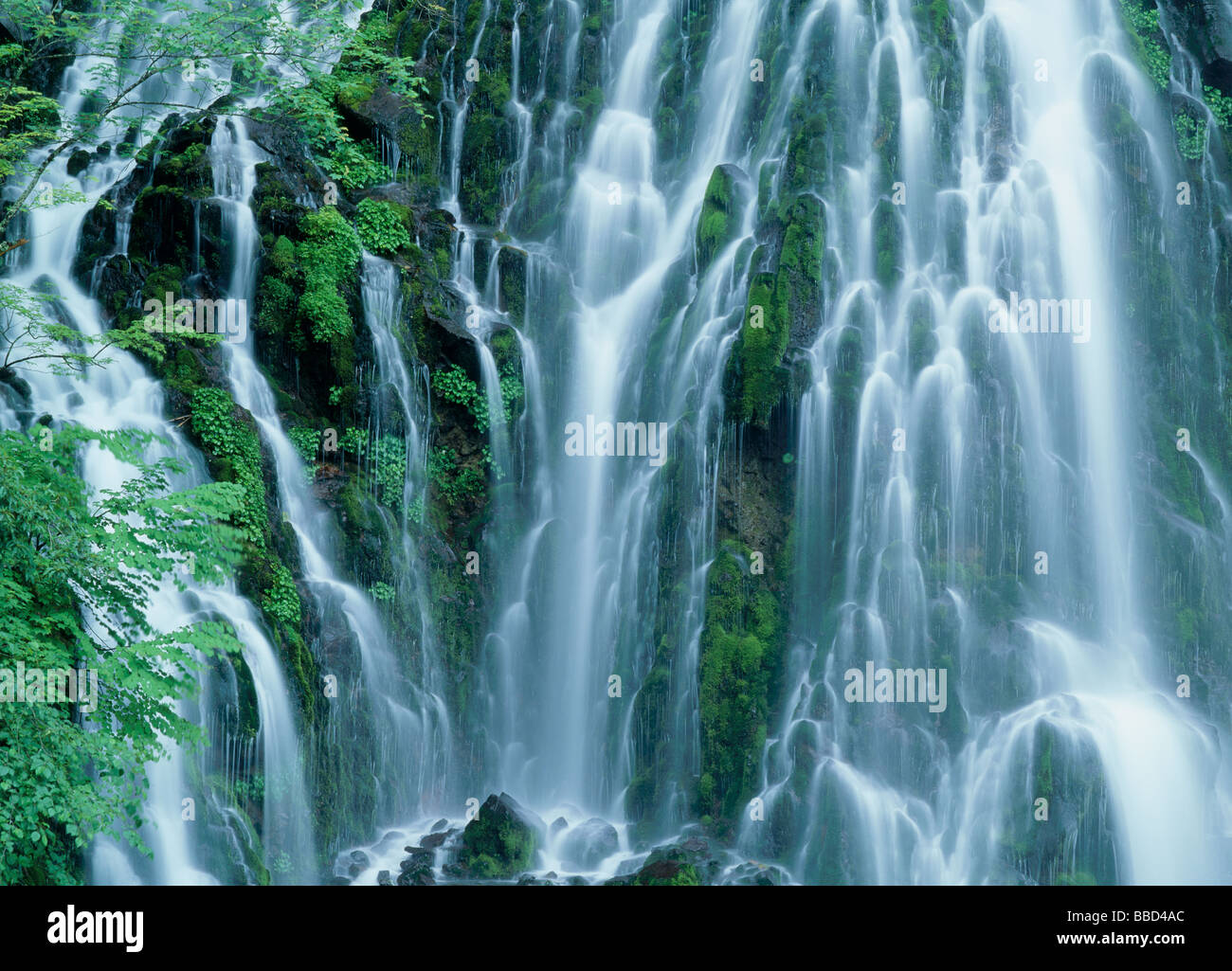 Nunobikidaki falls hi-res stock photography and images - Alamy