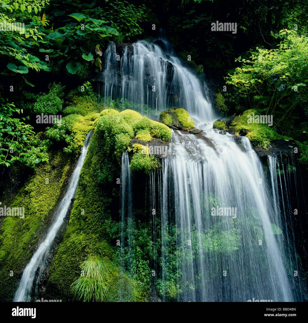Ooizumi hi-res stock photography and images - Alamy