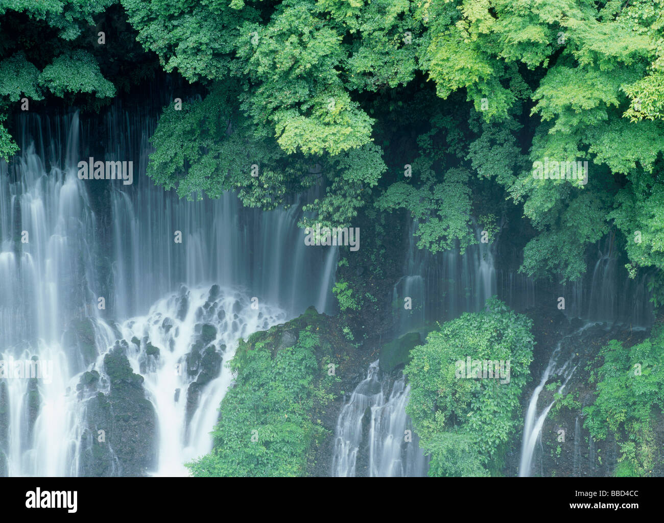 Shiraito waterfall in shizuoka hi-res stock photography and images - Alamy