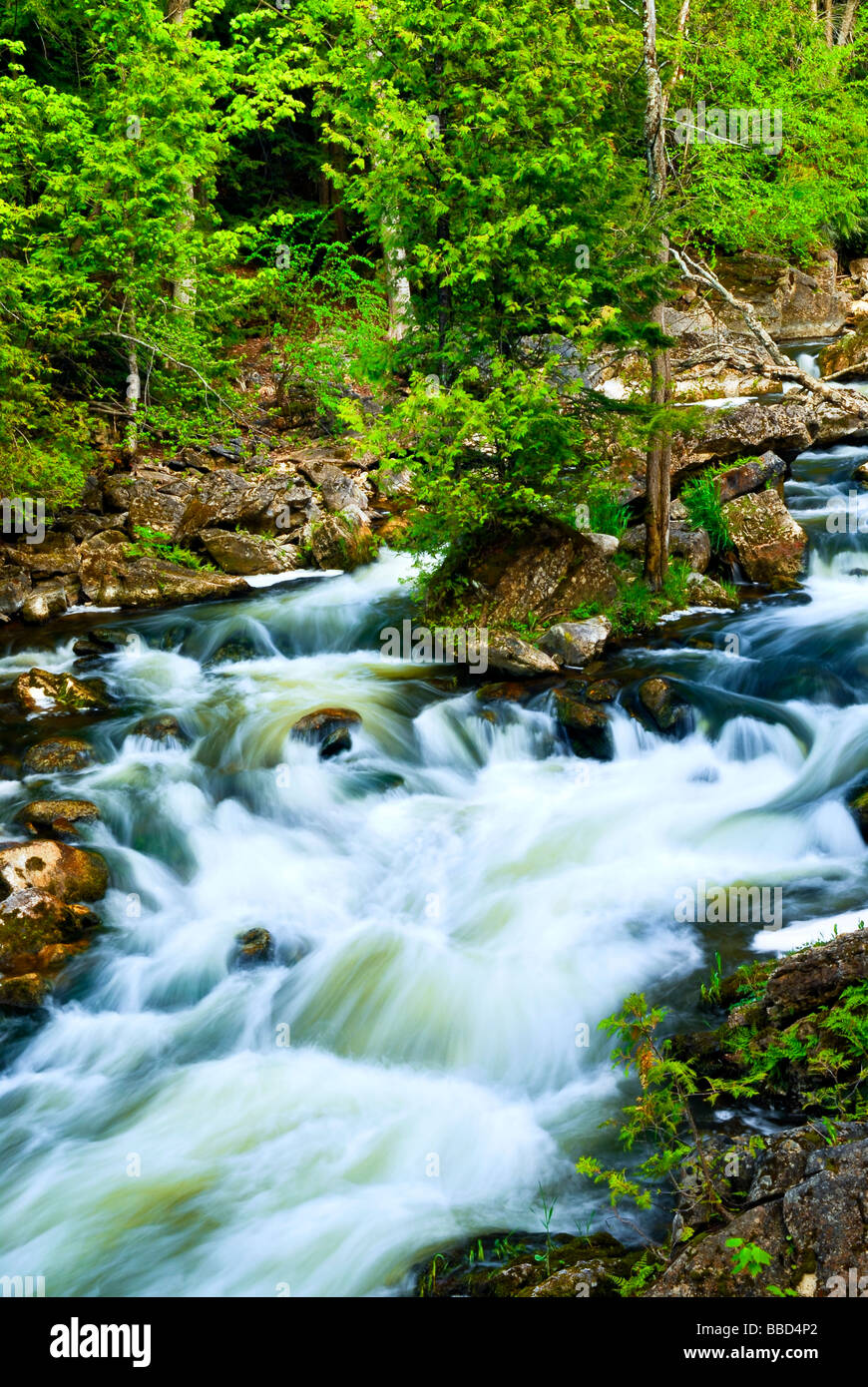Water rushing among rocks in river rapids in Ontario Canada Stock Photo ...