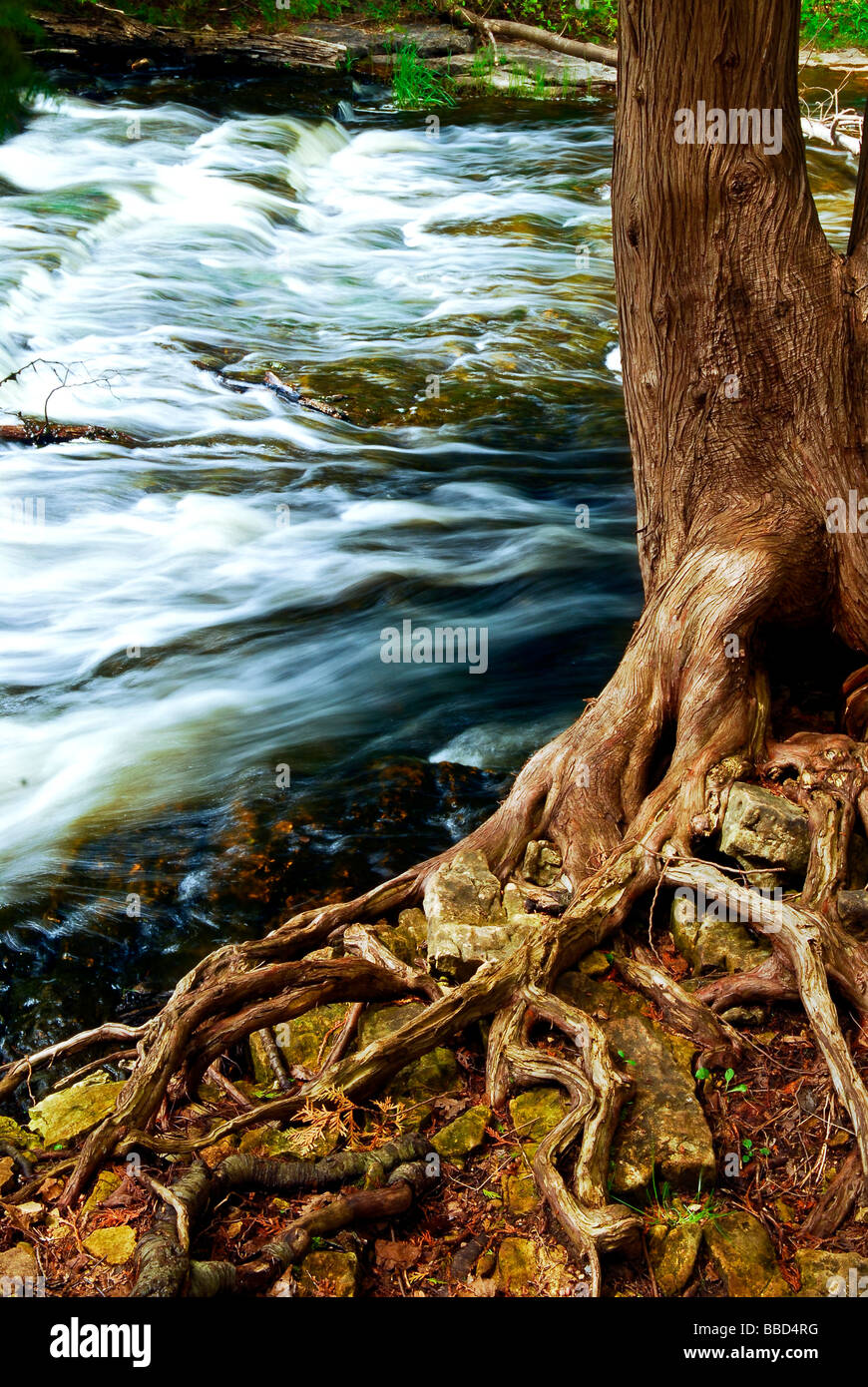 Cascading rapid white rushing water hi-res stock photography and images ...