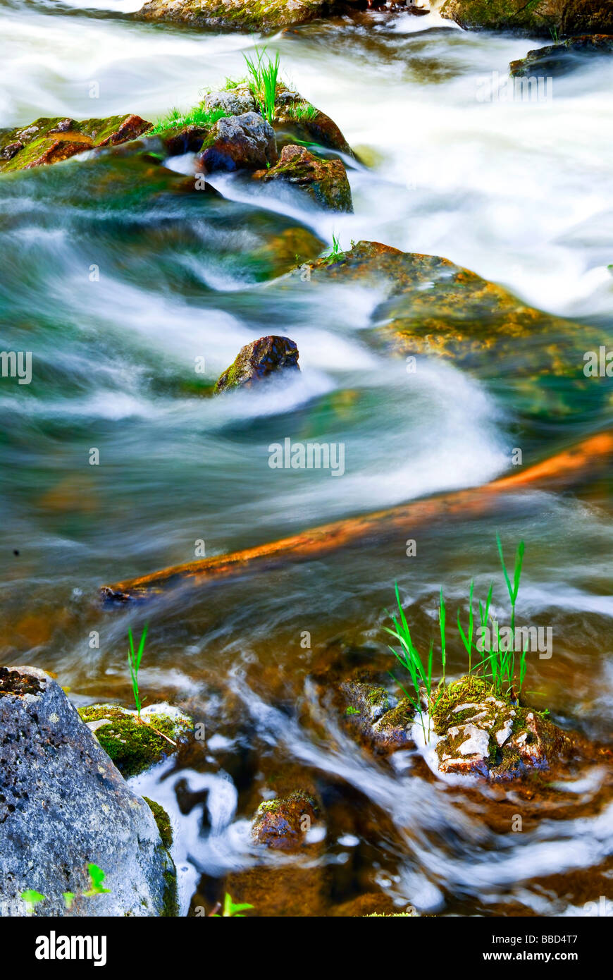 Water rushing among rocks in river rapids in Ontario Canada Stock Photo ...