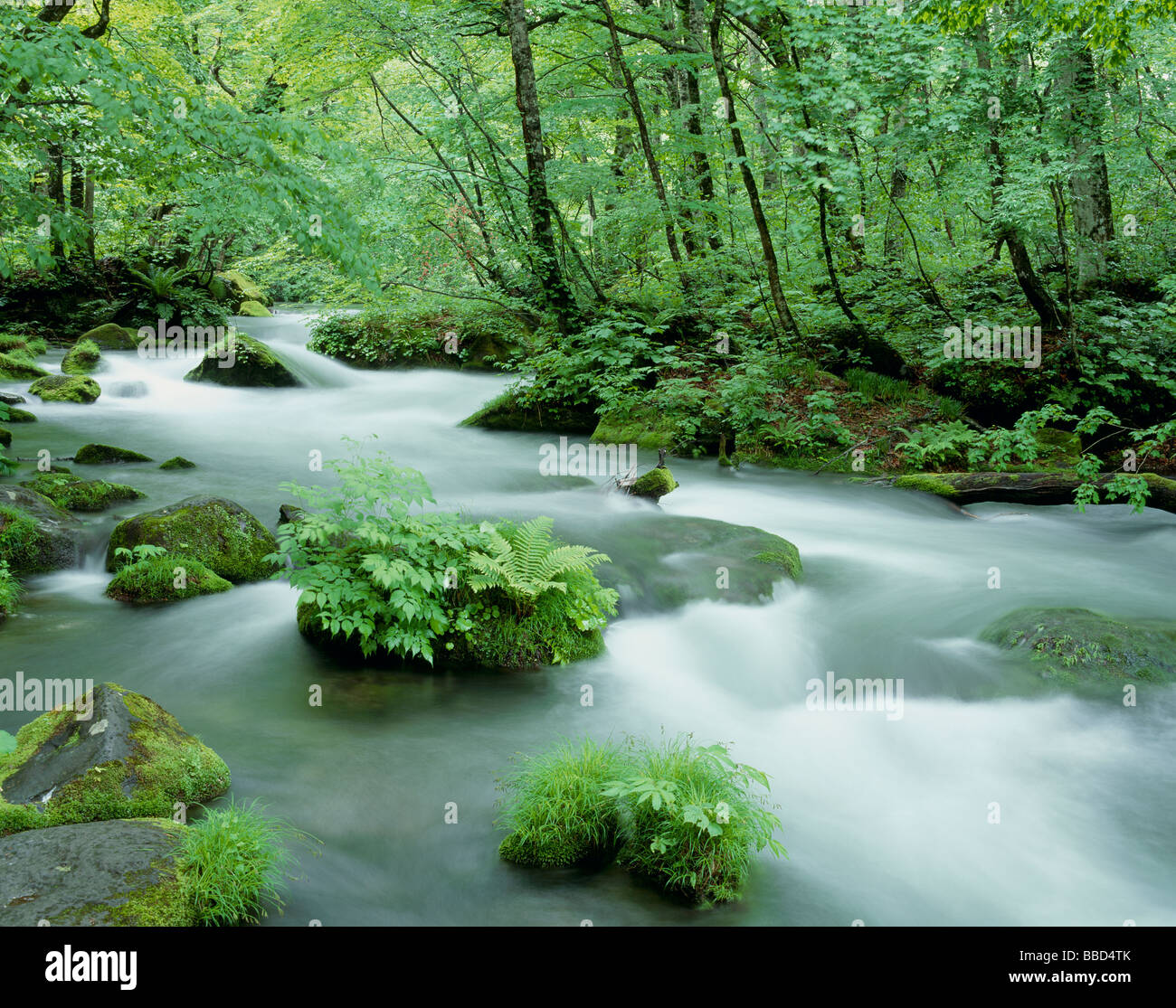 River and Woods Stock Photo - Alamy