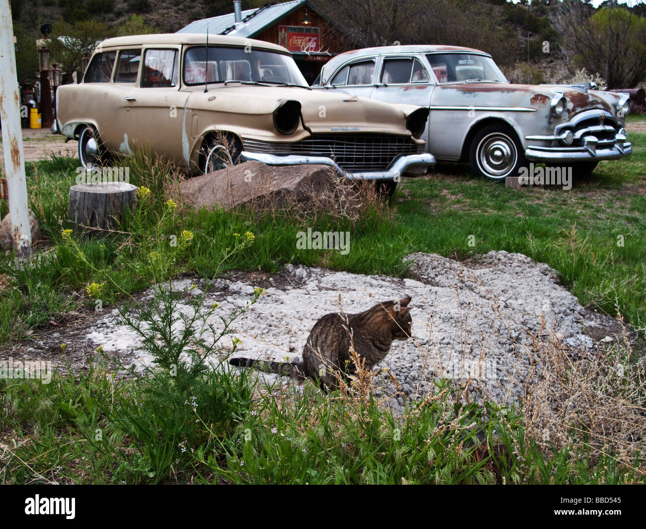 Old CArs, New Mexico Stock Photo - Alamy