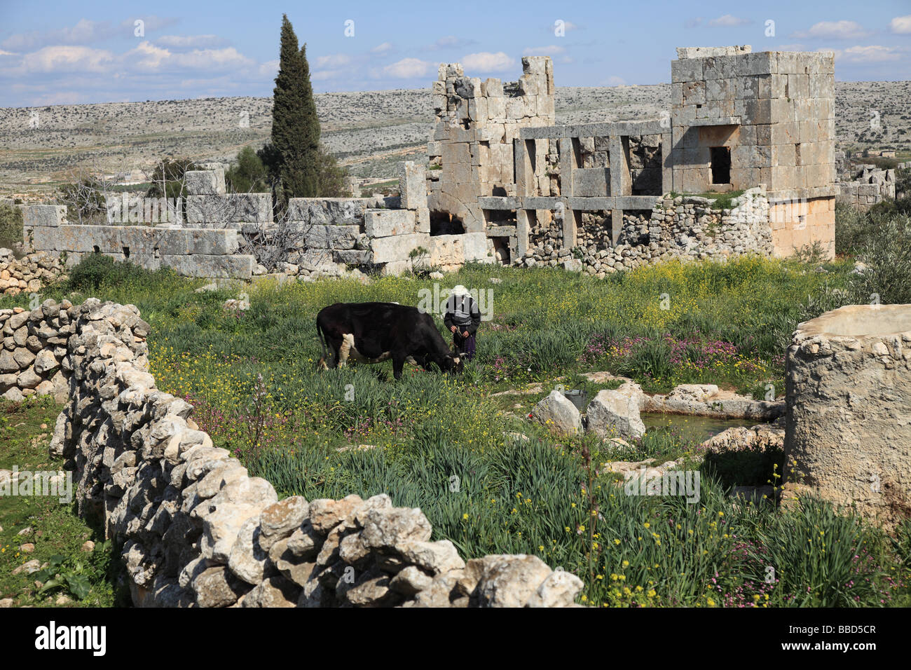 Pillar saint simeon syria hi-res stock photography and images - Alamy