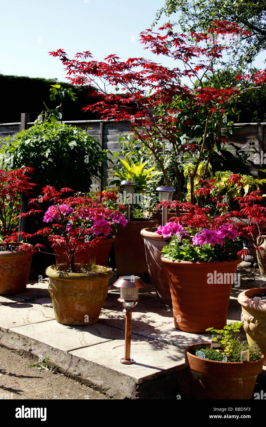 Planted containers hi-res stock photography and images - Alamy