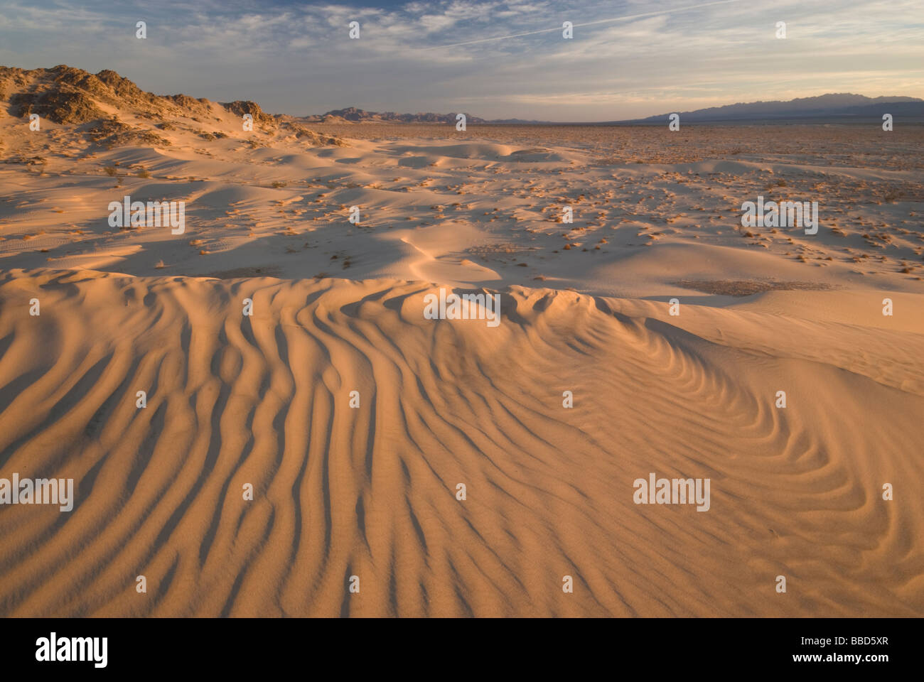 Cadiz Dunes at sunset, Mojave Trails National Monument, Mojave Desert ...
