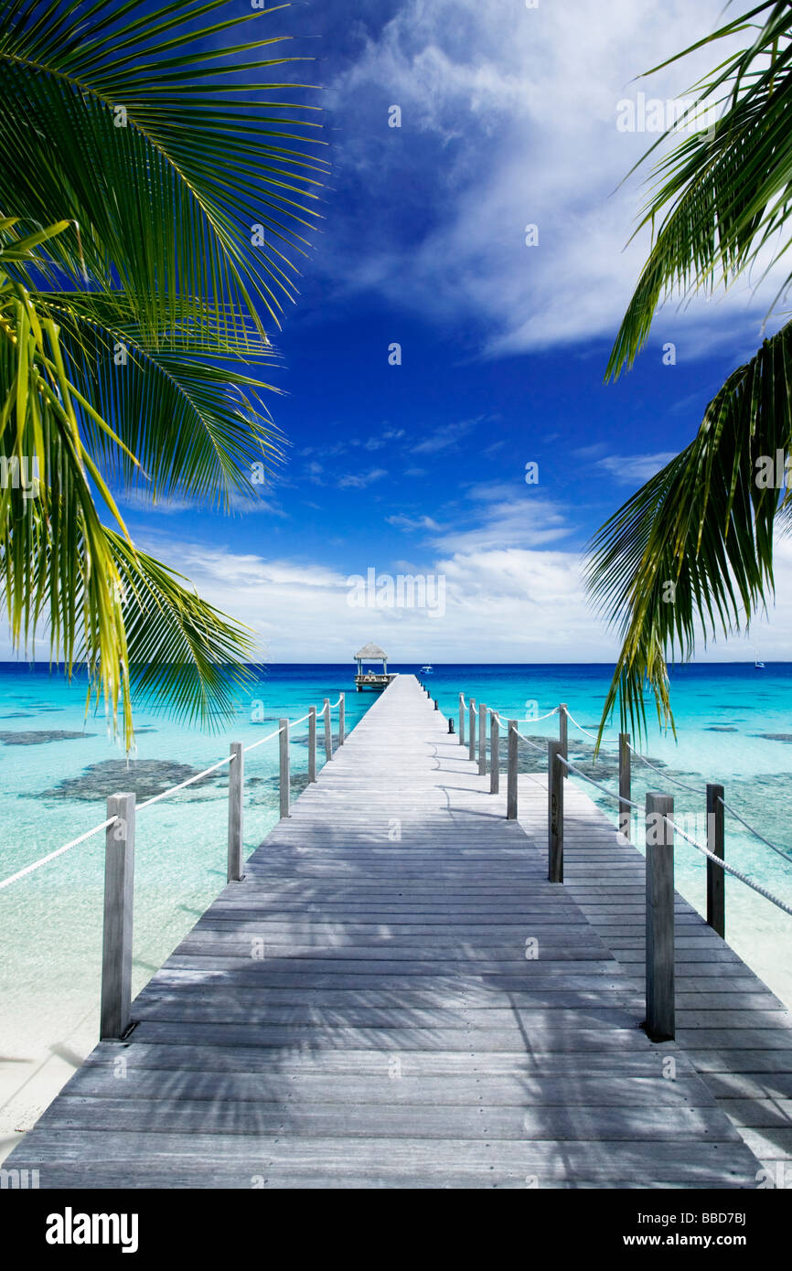 A view of a real paradise; a beach in Fakarava Atoll, French Polynesia ...