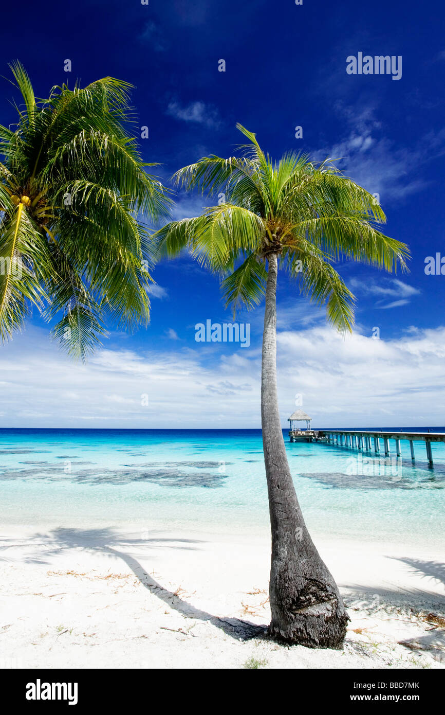 A view of a real paradise; a beach in Fakarava Atoll, French Polynesia ...