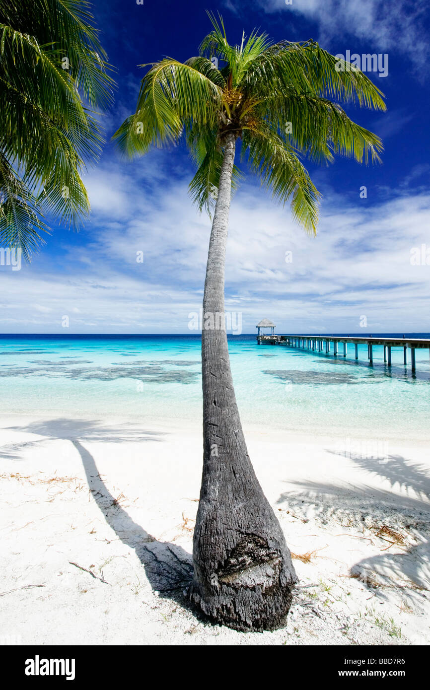 A view of a real paradise; a beach in Fakarava Atoll, French Polynesia ...