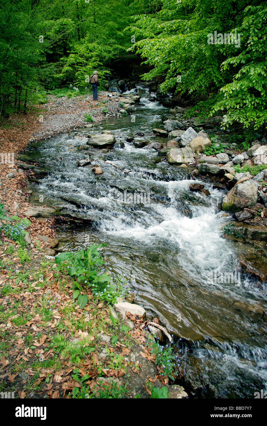 Central balkan national park bulgaria hi-res stock photography and ...