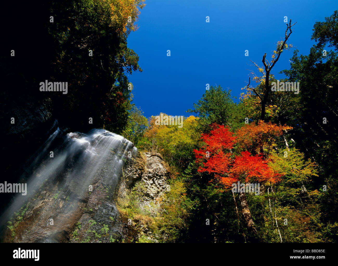 Autumn Leaves And Waterfall Stock Photo - Alamy