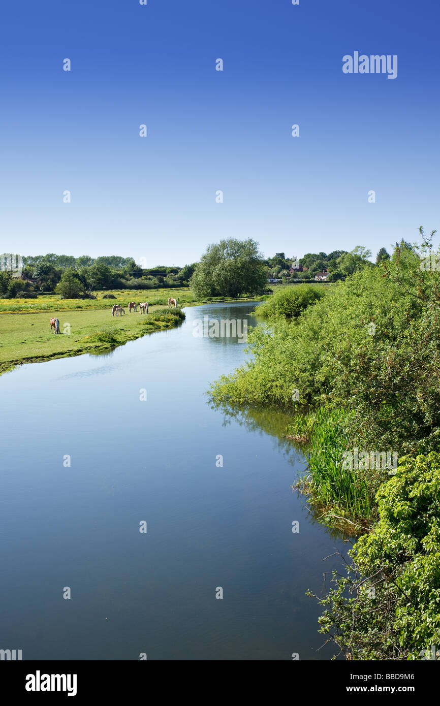 The "River Bure" near "Oxnead Mill" North Norfolk, East Anglia, UK ...