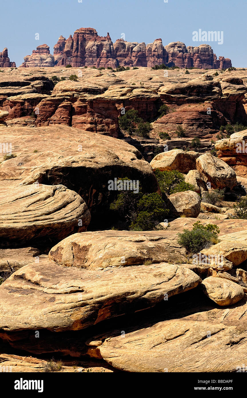 Canyonlands Needles District Utah USA Stock Photo - Alamy