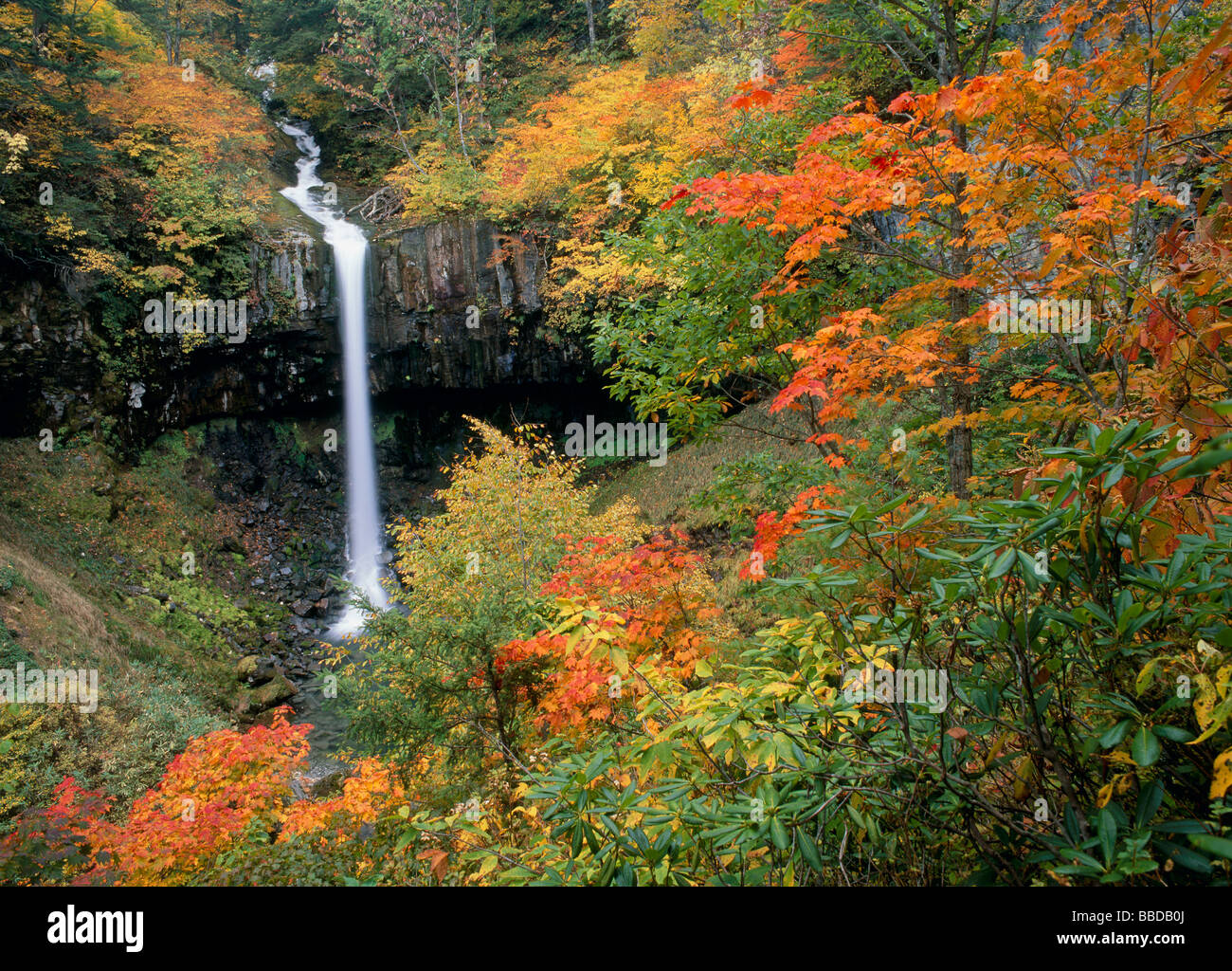 Autumn Leaves And Waterfall Stock Photo - Alamy
