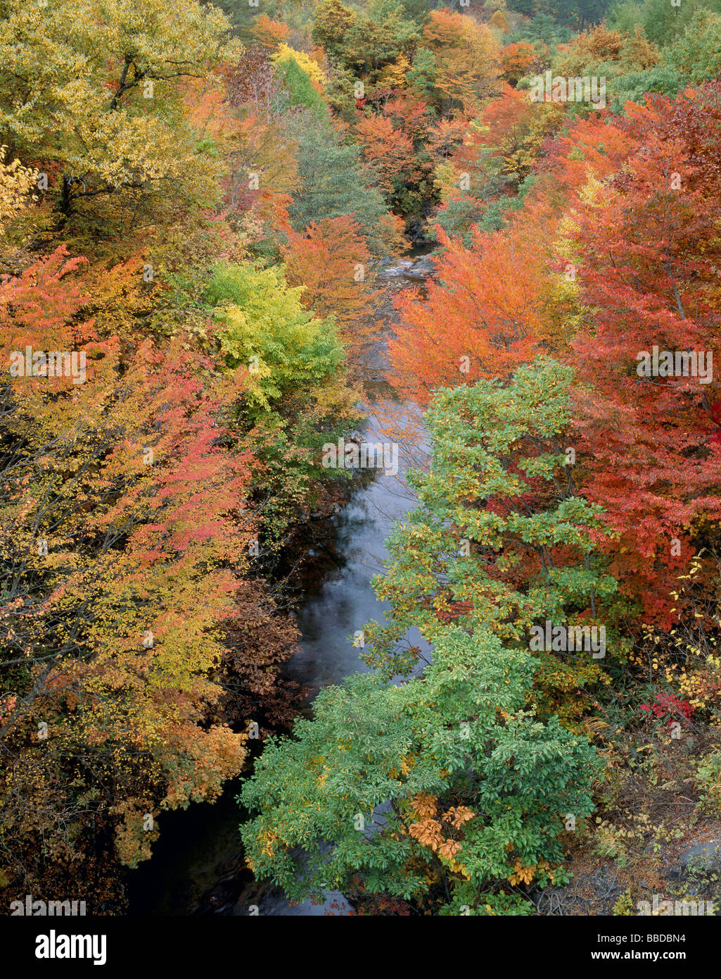Autumn Leaves And River Stock Photo - Alamy