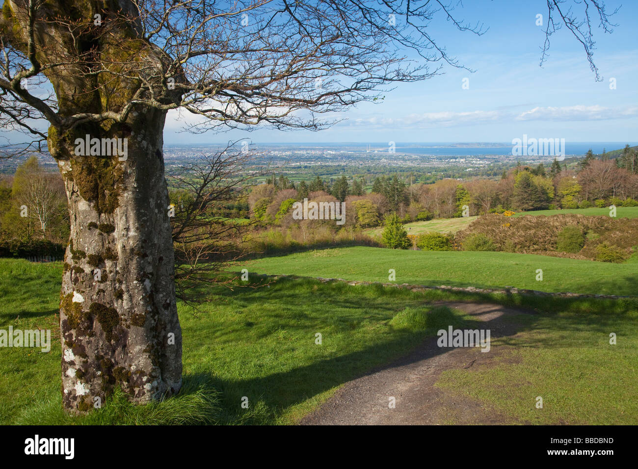 Dublin Bay from Glencullen County Wicklow Ireland Eire Irish Republic ...