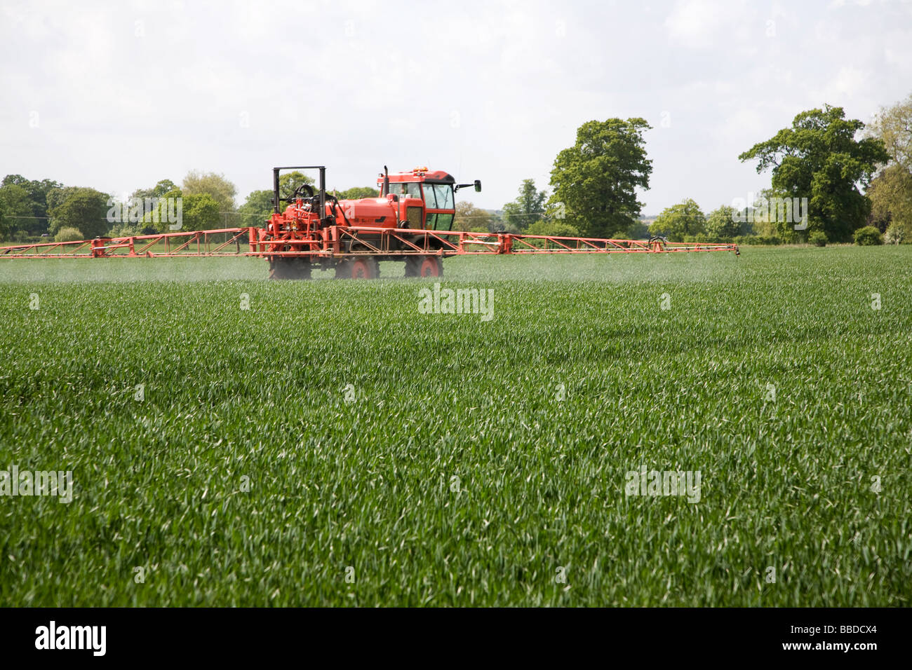 Arable crops hi-res stock photography and images - Alamy