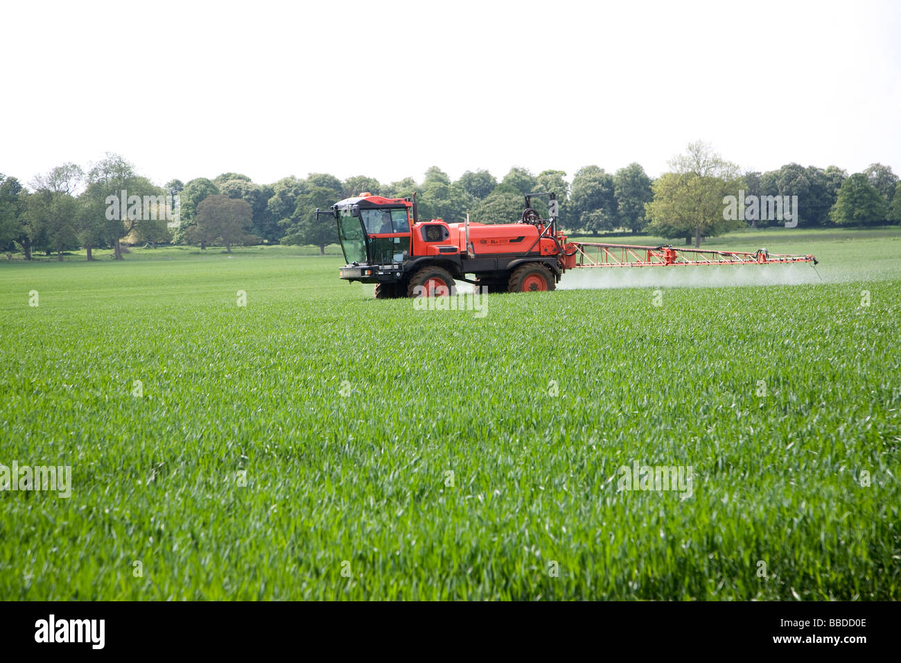 Arable crops hi-res stock photography and images - Alamy