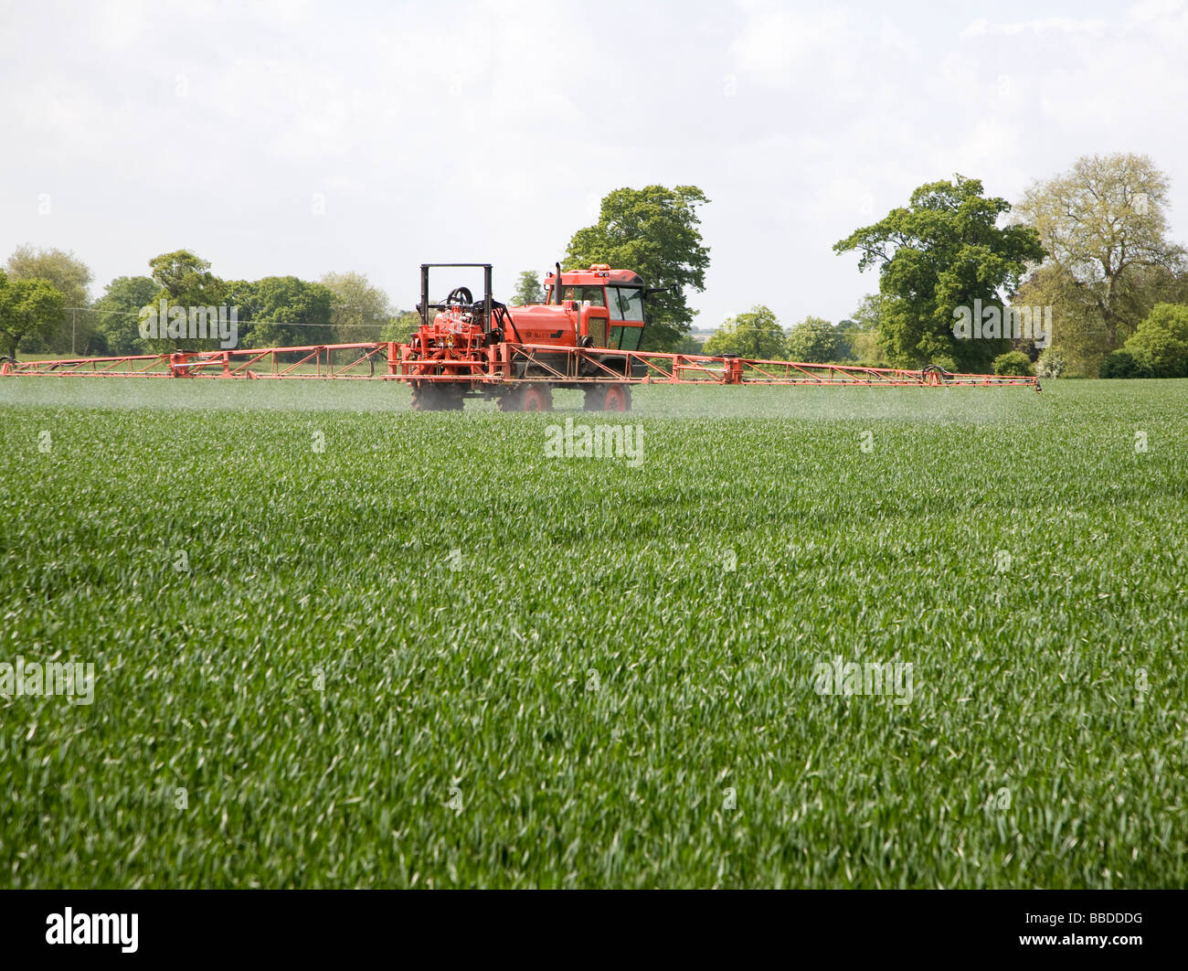 Arable crops hi-res stock photography and images - Alamy