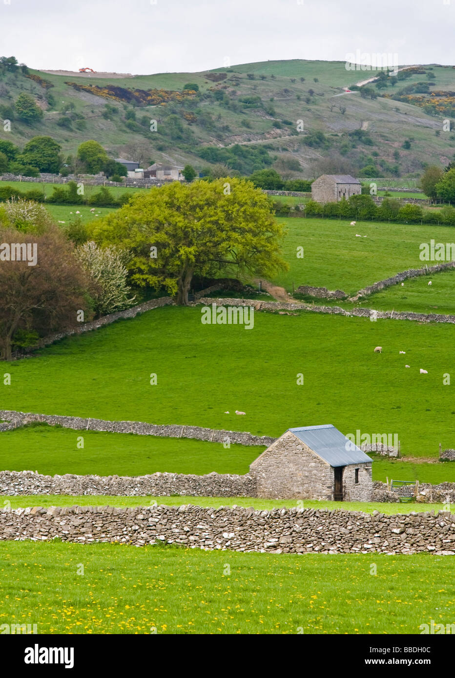 A spring rural landscape in the Peak District Stock Photo - Alamy
