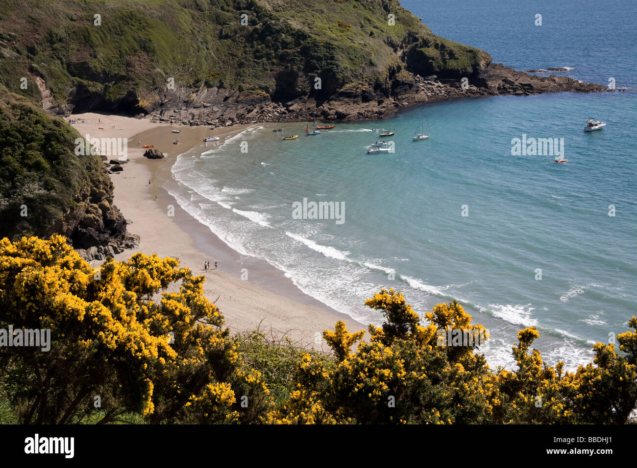 Lantic bay cornwall beach hi-res stock photography and images - Alamy
