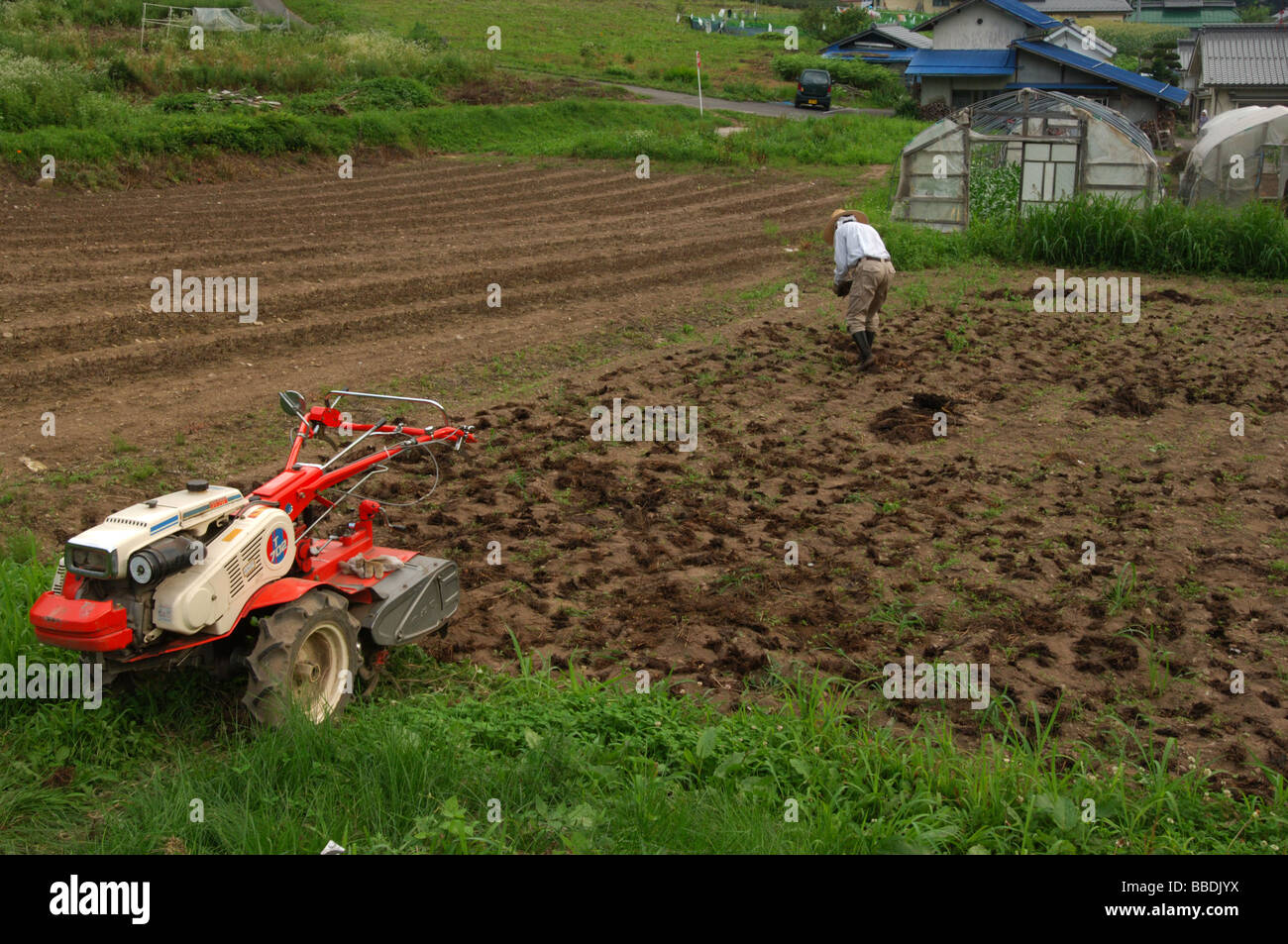Japan, Country, Rural, Farm, Plant, Japanese, Life, Agriculture ...