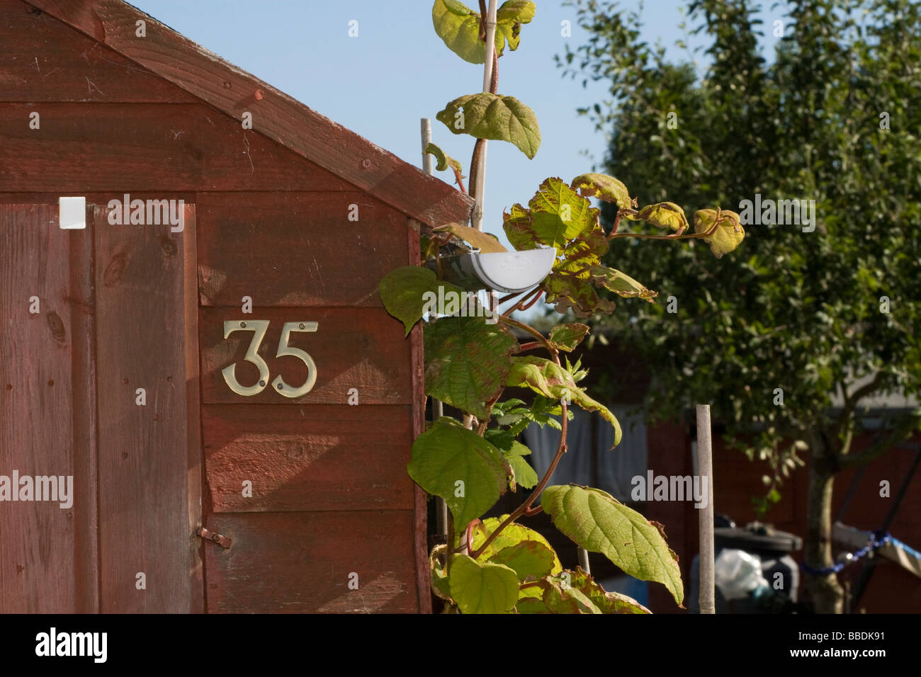 The number 35 in brass numerals on a graden shed Stock Photo - Alamy