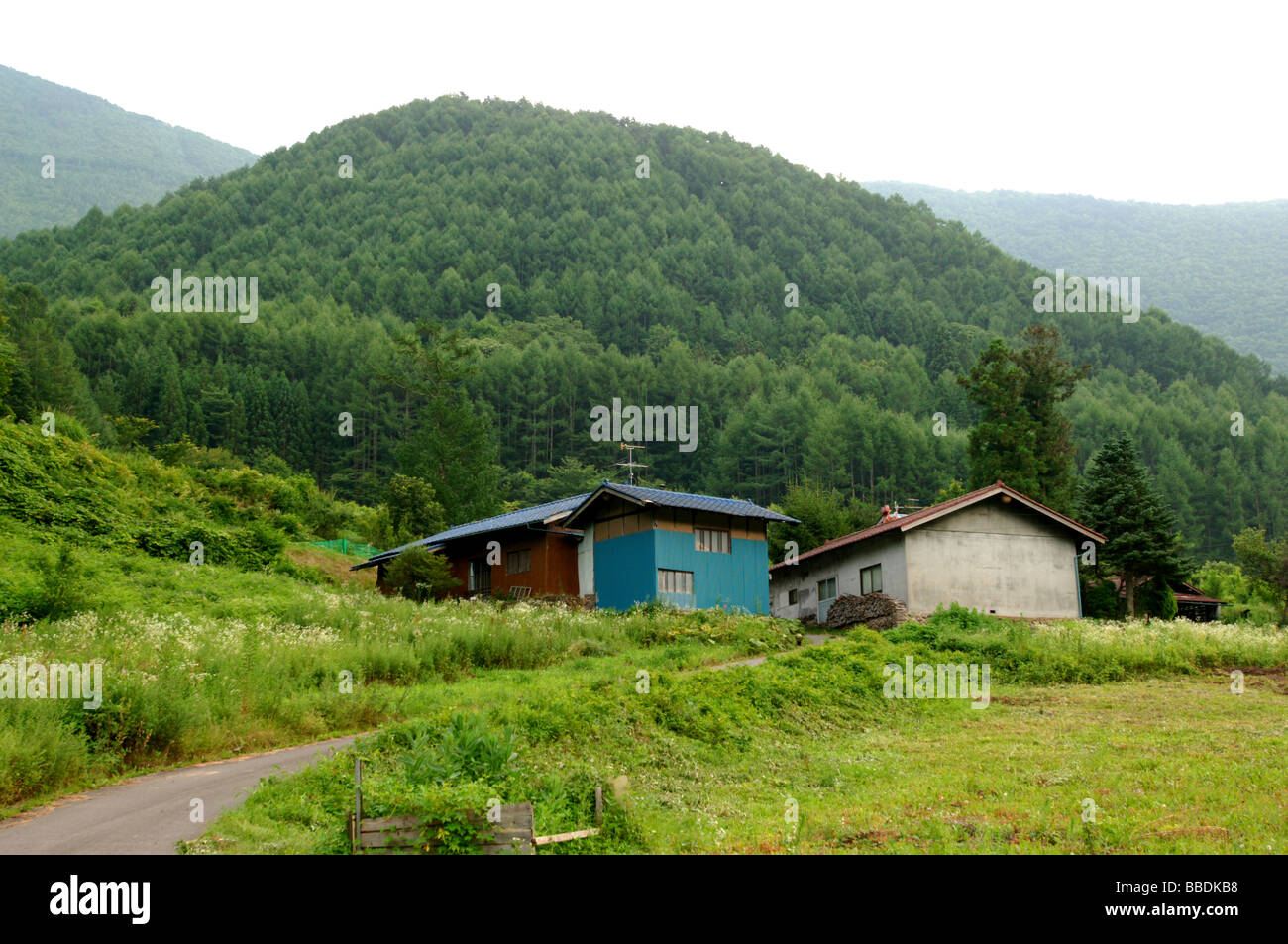 Japan, Country, Rural, Farm, Plant, Japanese, Life, Agriculture ...