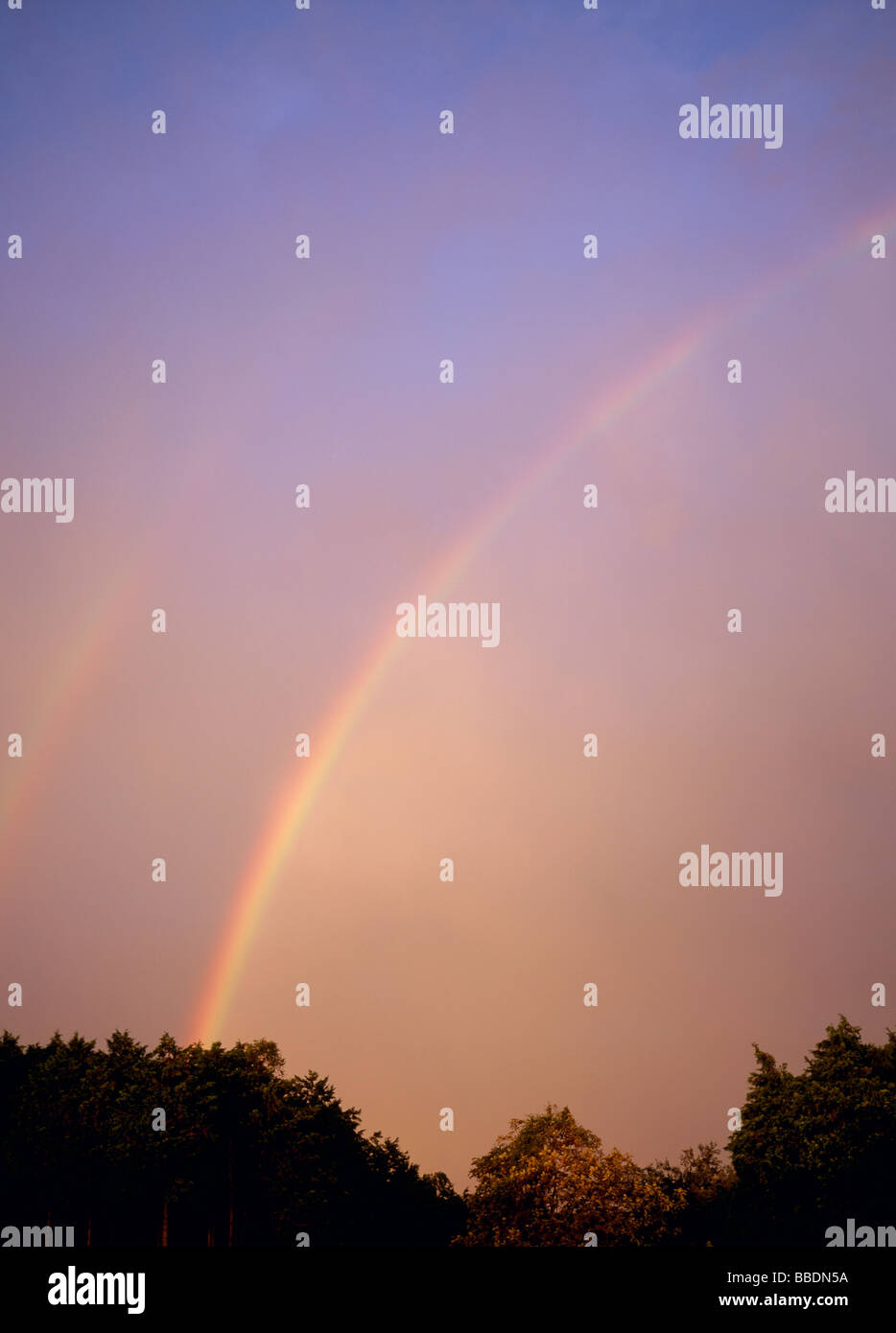 Rainbow In Evening Glow Stock Photo - Alamy