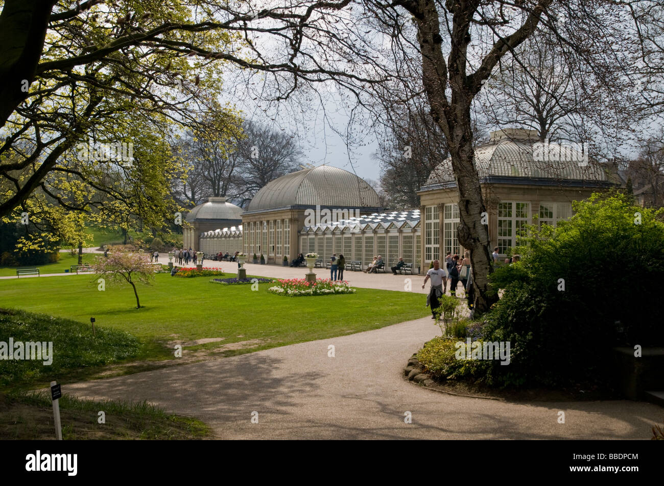 Sheffield's City Botanical Gardens in spring time South Yorkshire ...