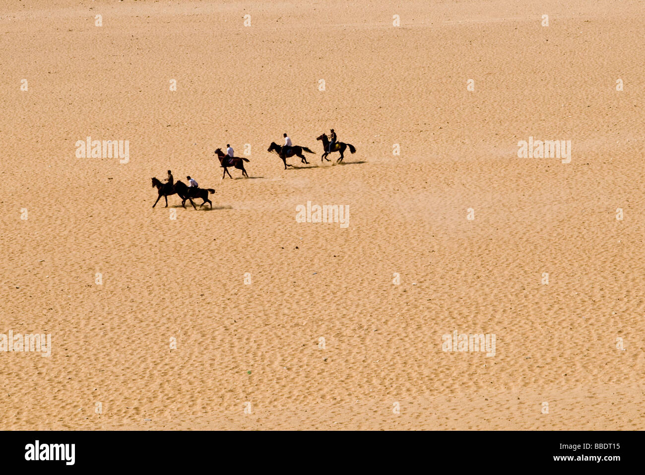 Horse riding in the Egyptian desert Stock Photo - Alamy