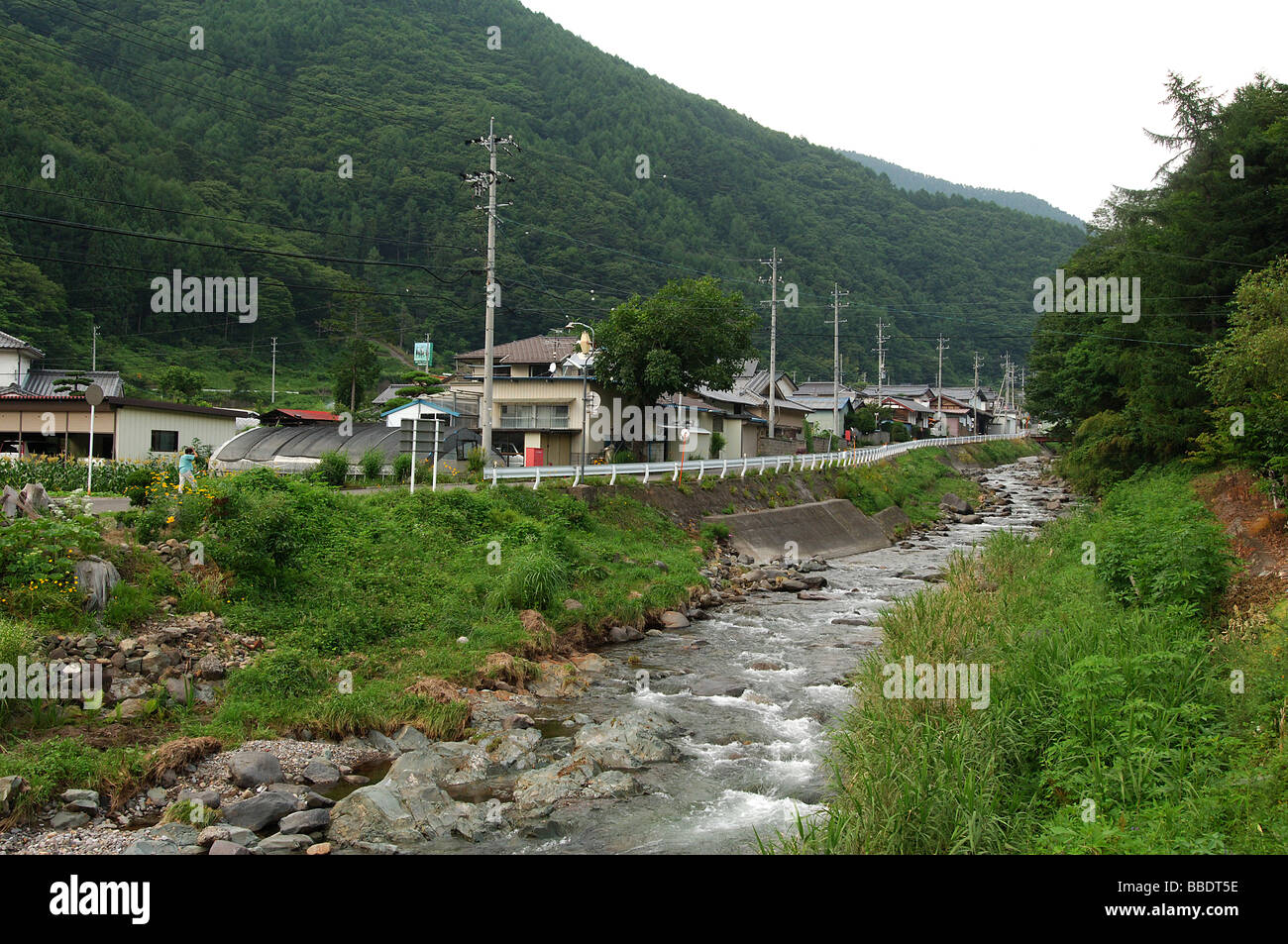 Typical Japanese Greenery High Resolution Stock Photography and Images ...