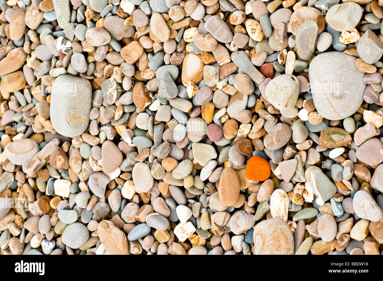 Pebbles on beach with a single red pebble Stock Photo - Alamy