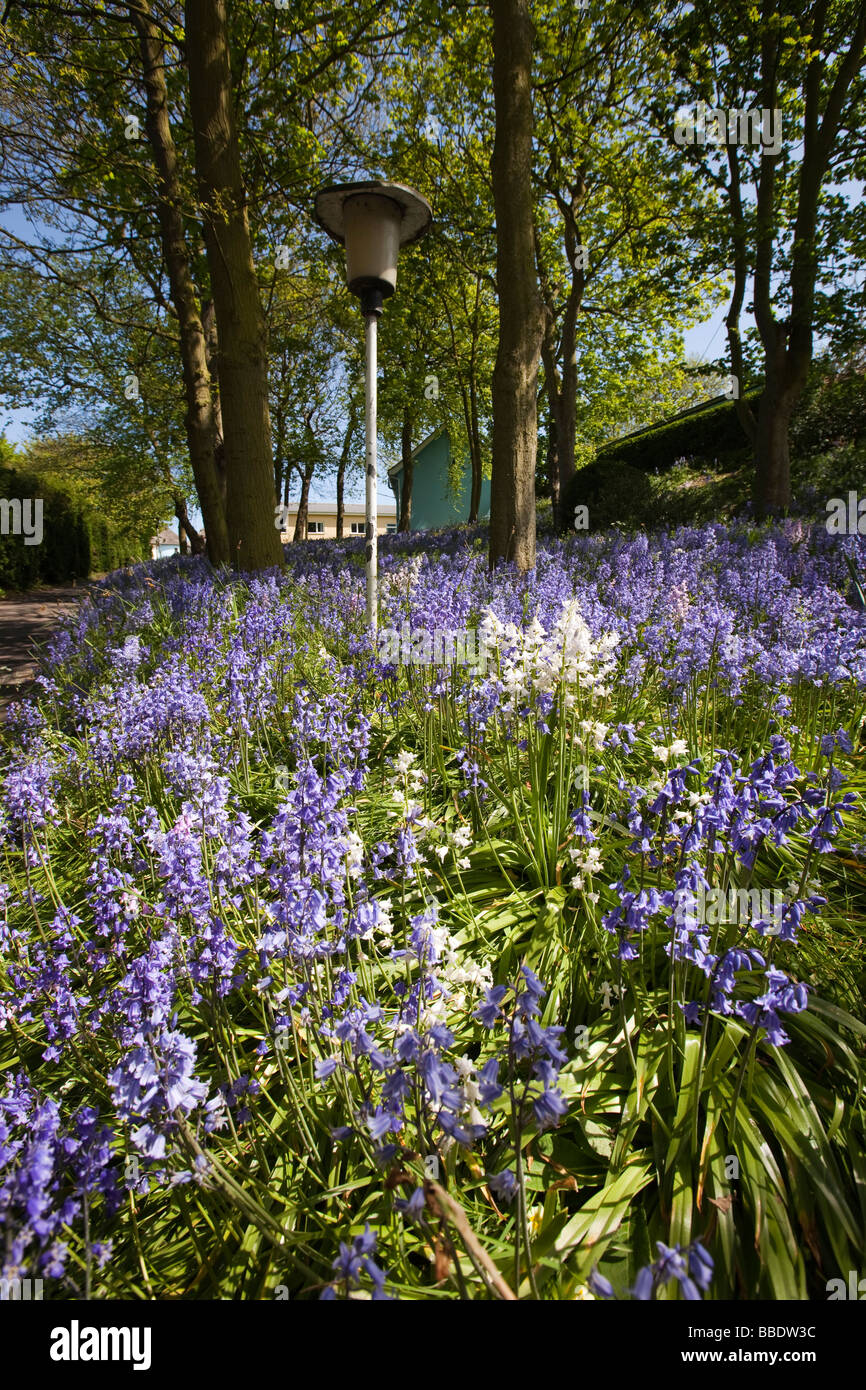 Winterton on sea village hi-res stock photography and images - Alamy