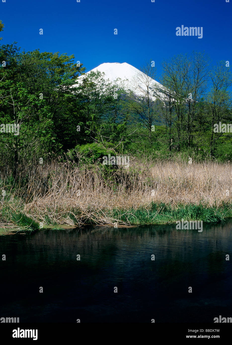 Mt.Fuji And Water Stock Photo - Alamy